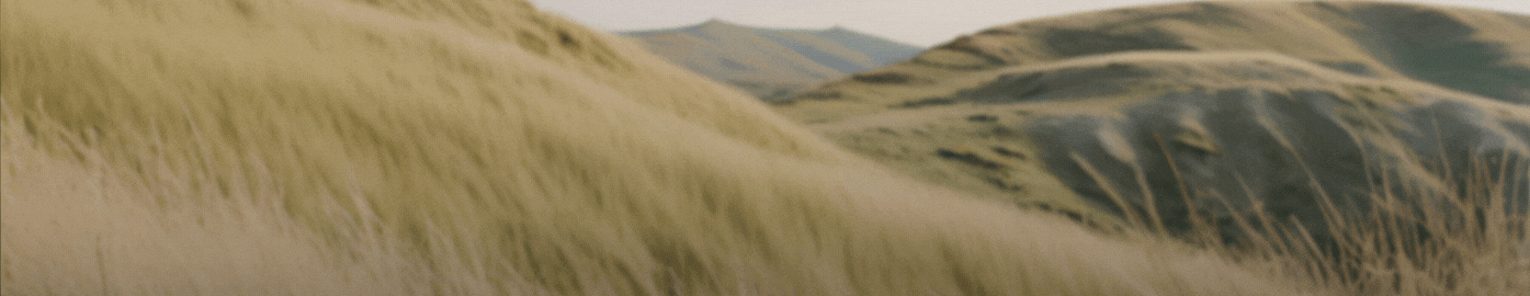 Malgré Tout - Heste, Sport, Livsstil